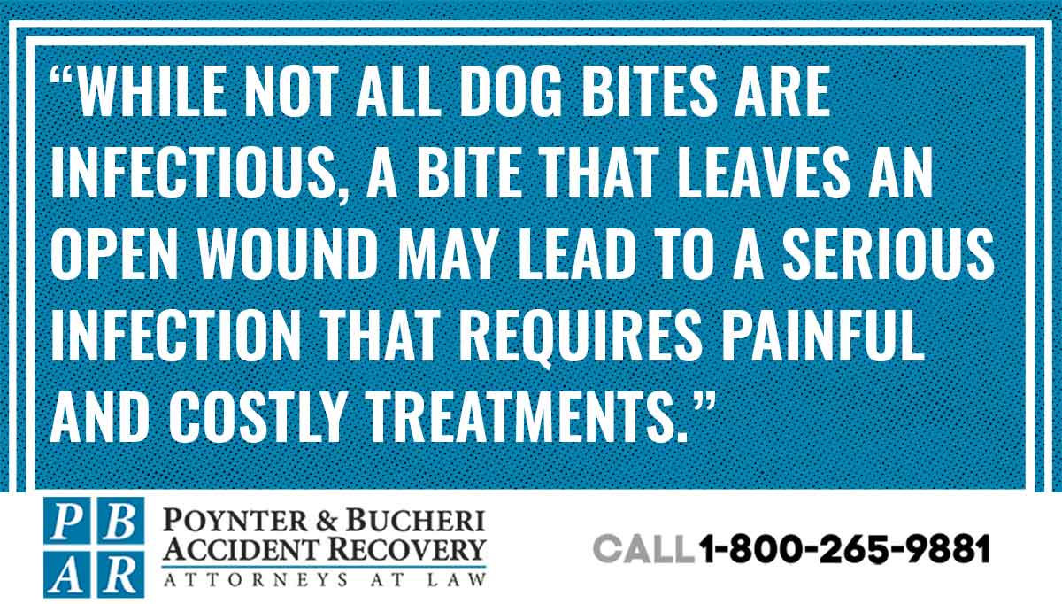 Dog Bite Infection Guide